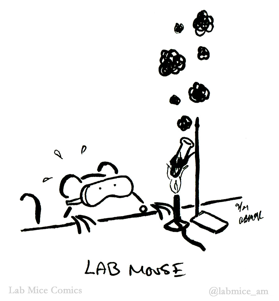 About – Lab Mice