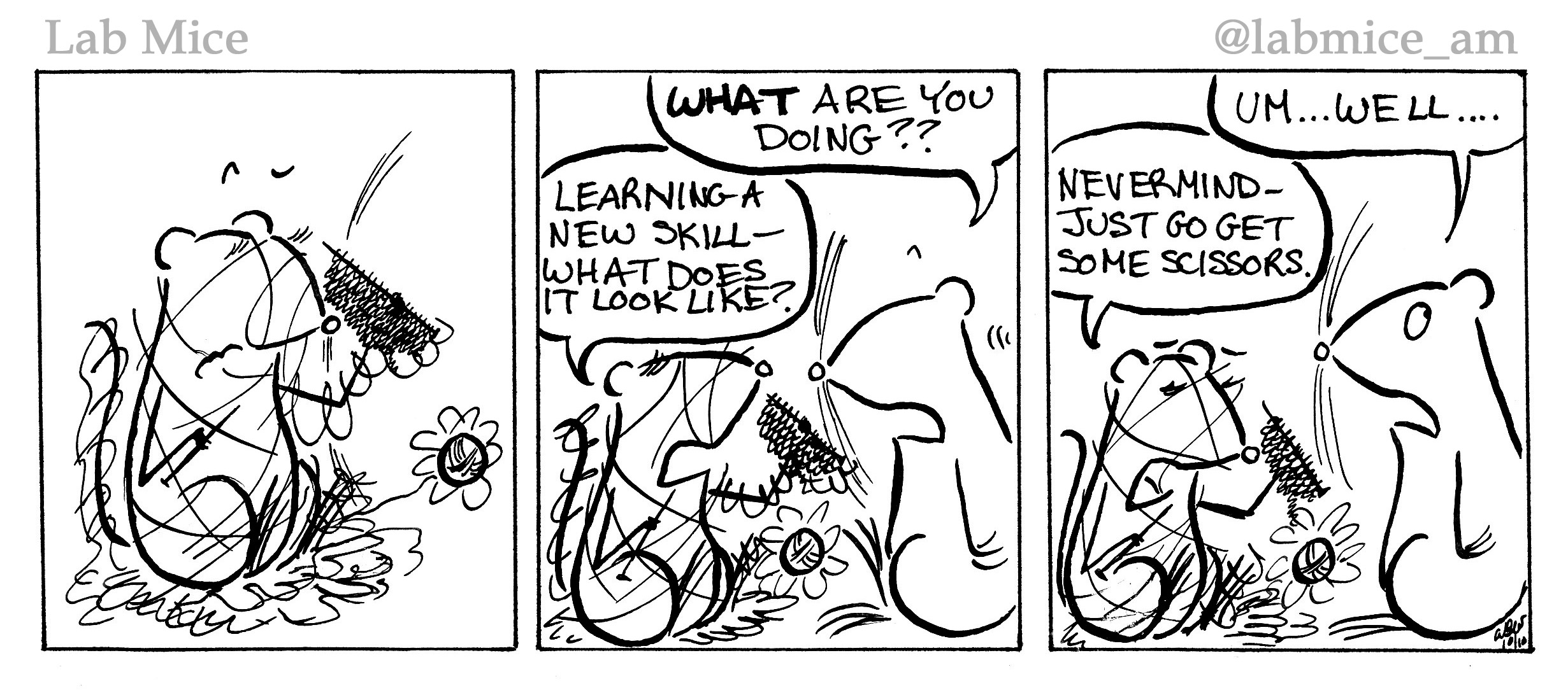 What Does It Look Like? – Lab Mice