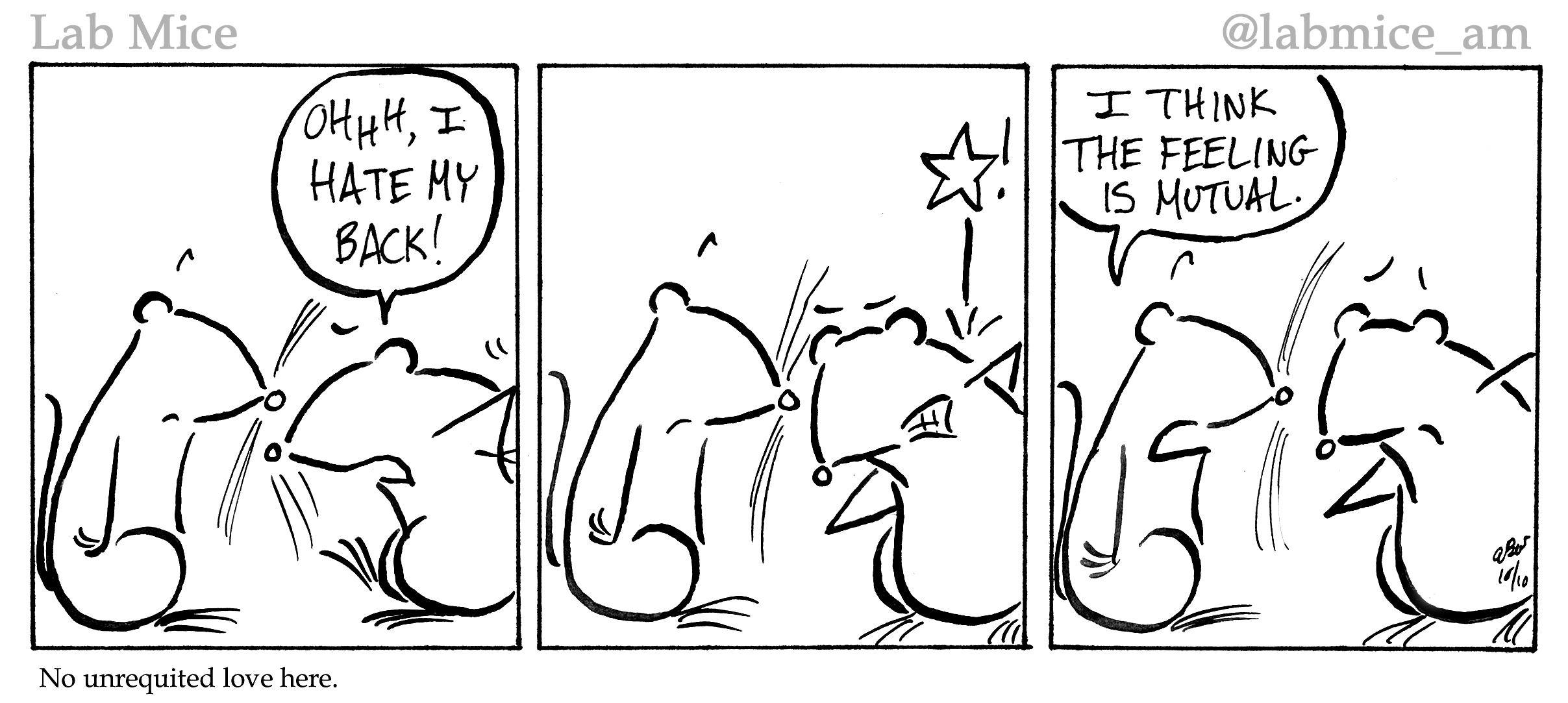 Back Pain – Lab Mice