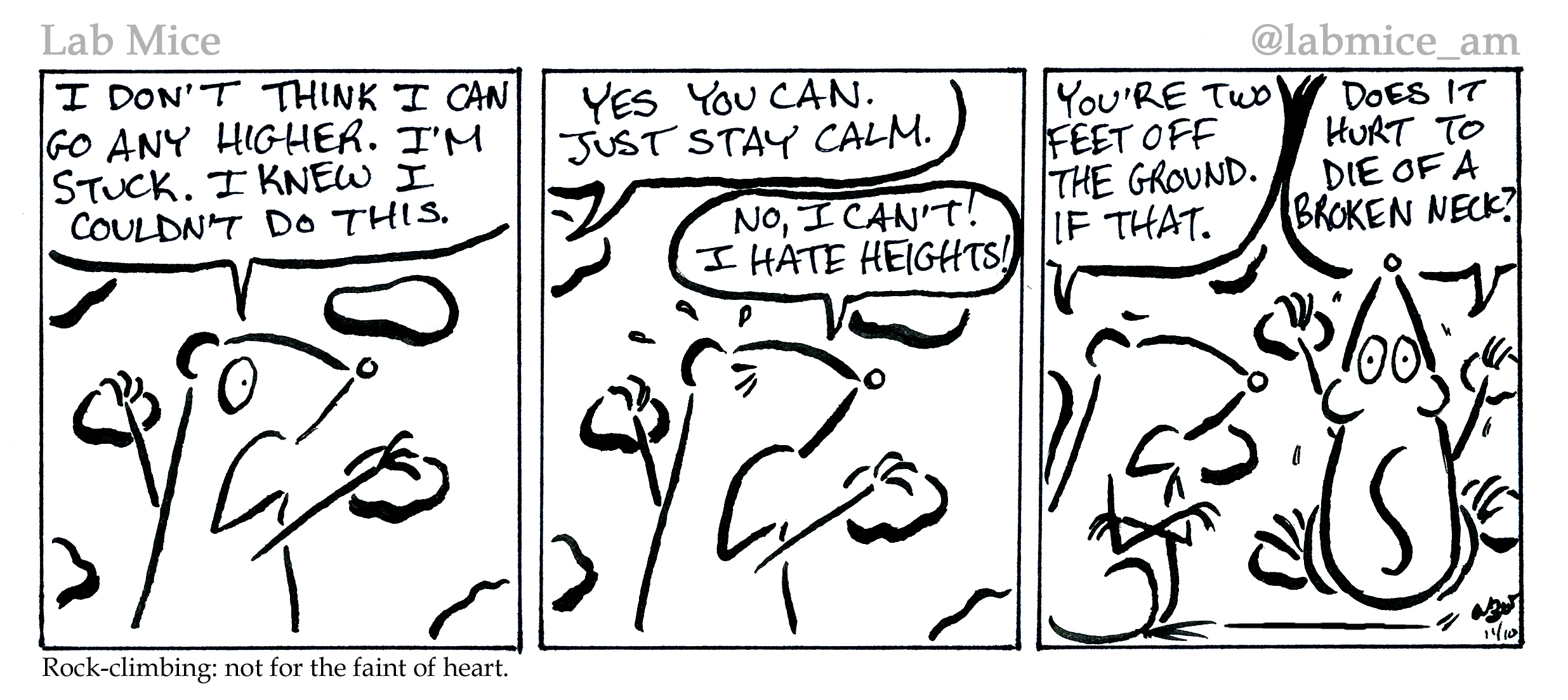 Rock Climbing – Lab Mice